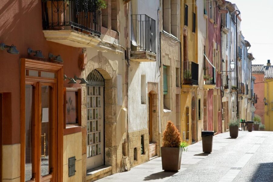 Tarragona Gems Half-Day Private Journey - Authenticity and Experience