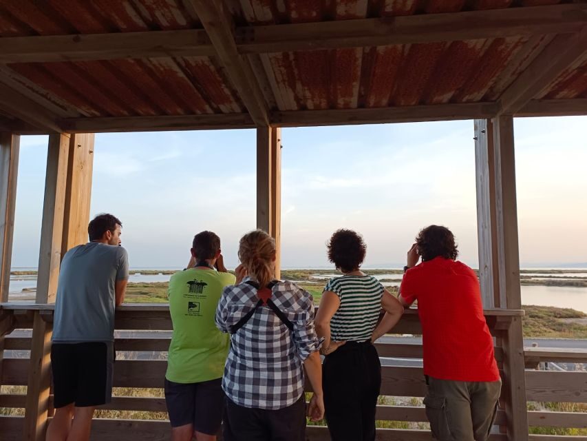 Tarragona: Southern Delta Birdwatching Private Tour - An In-Depth Look at the Tour Experience