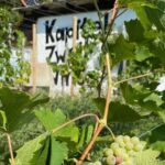 Taste and Tour Small Organic Wineries with a Winemaker - An In-Depth Look at the Experience