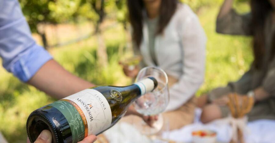 Taste with us Bardolino, Chiaretto and Lugana near Verona - FAQ