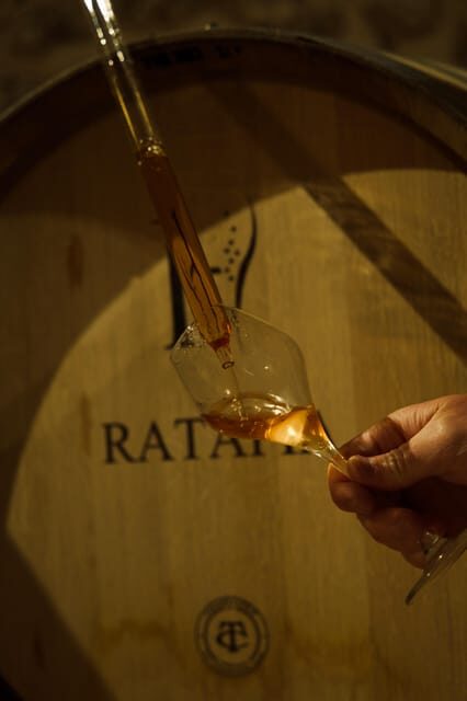 Tasting Experience: Discover our Champagnes in Marne Valley - The Sum Up: Is It Worth Your Time?