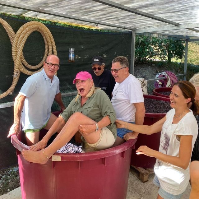 Tasting in a Tuscan Vineyard with transfer from Lucca - What Makes It Special?