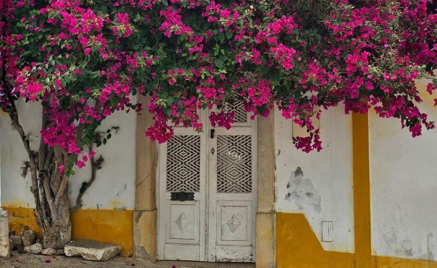 Tavira City & Ice Cream - Final Thoughts: Who Will Love This?