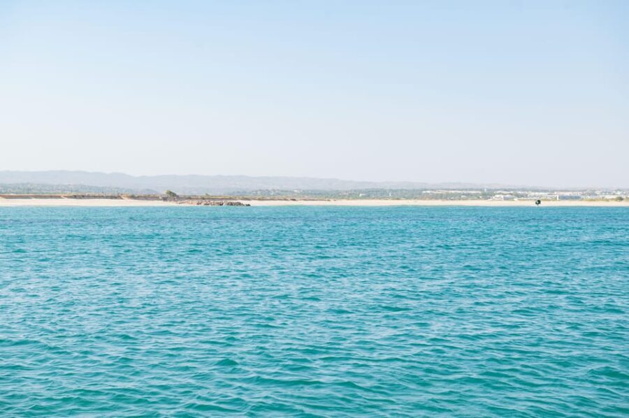 Tavira: Passeio Full Day - Final Thoughts: Is It Worth the Price?