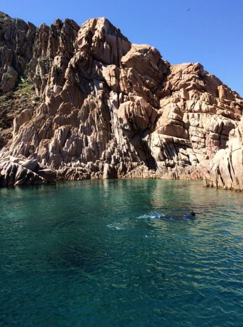 Tavolara, Snorkeling in the Marine Park - The Value of the Experience