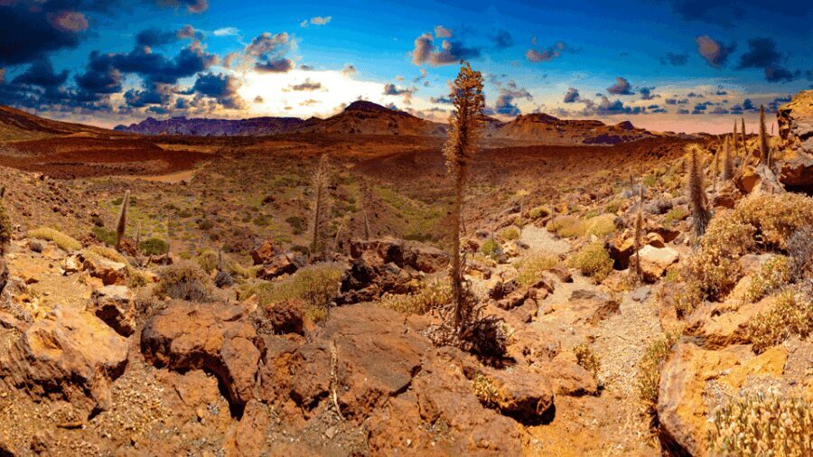 Teide National Park: Landscapes and Viewpoints Private Tour - Analyzing the Value: Price and Experience