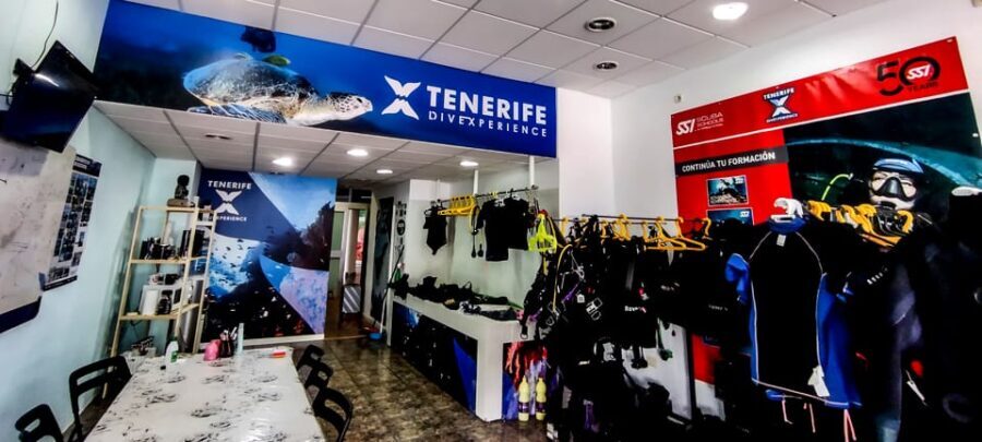 Tenerife: 2-Dive Private Scuba Discovery Course - What to Expect from the Tenerife Private Scuba Course