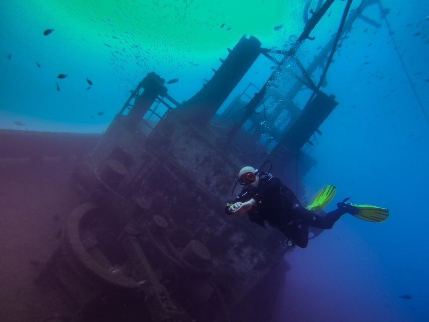 Tenerife: 2 Diving Sessions for Certified Divers - Who Will Love This Experience?