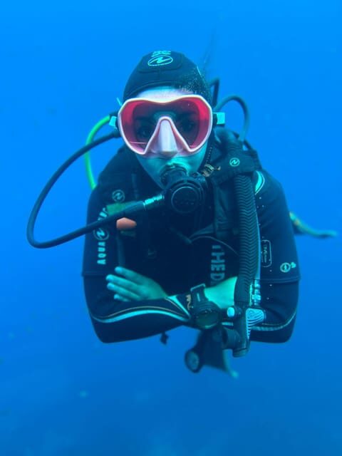 Tenerife - 2 Guided Dives for Certified Divers - Half Day - The Itinerary: Step-by-Step