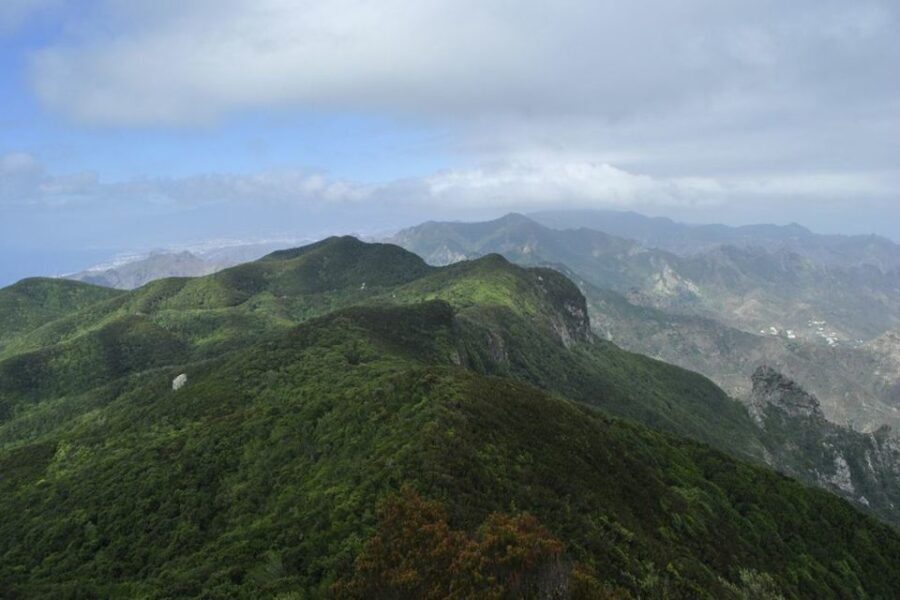 Tenerife: Anaga UNESCO VIP TOUR - Why This Tour Works