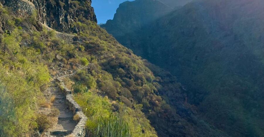 Tenerife: Barranco del Infierno Guided Hiking Tour - The Itinerary and Highlights