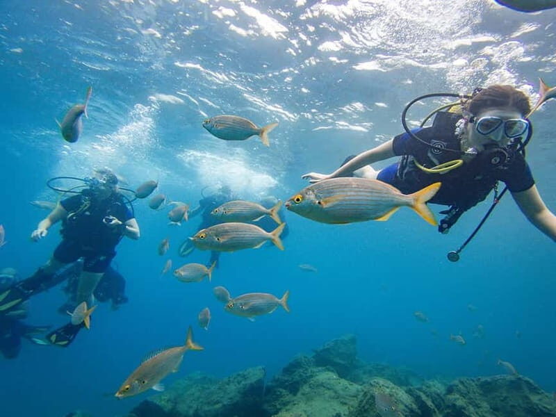 Tenerife: Beginner Scuba Diving Experience with Pickup - Detailed Breakdown of the Experience