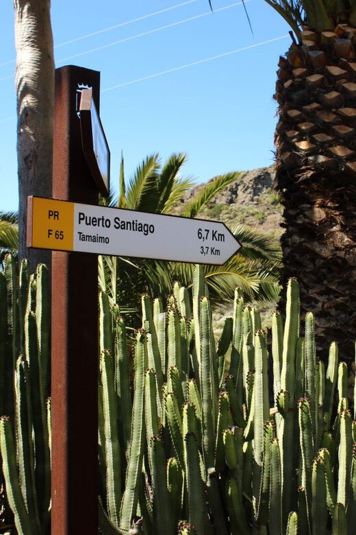 Tenerife : Camino Real hike - What to Expect: The Good and the Not-So-Good