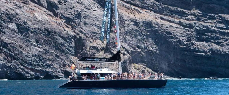 Tenerife: Catamaran Cruise with an Open Bar - The Details That Matter for a Great Day on the Water