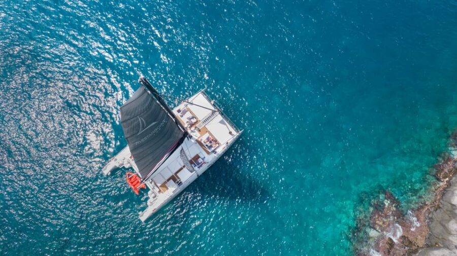 Tenerife: Catamaran Cruise with Brunch and Unlimited Drinks - The Itinerary and What to Expect