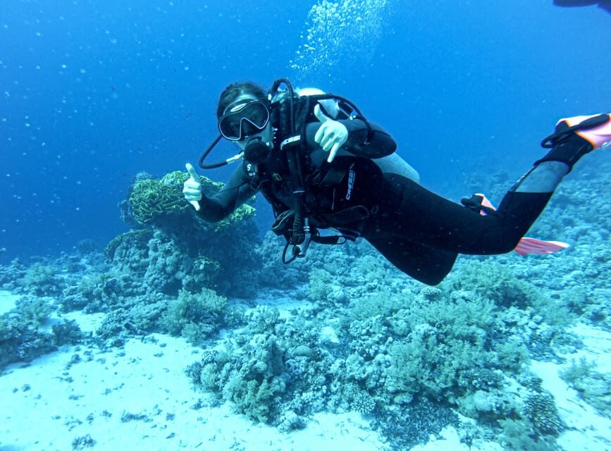 Tenerife - Discover Scuba Diving Experience with Instructor - Who Will Love This Experience?