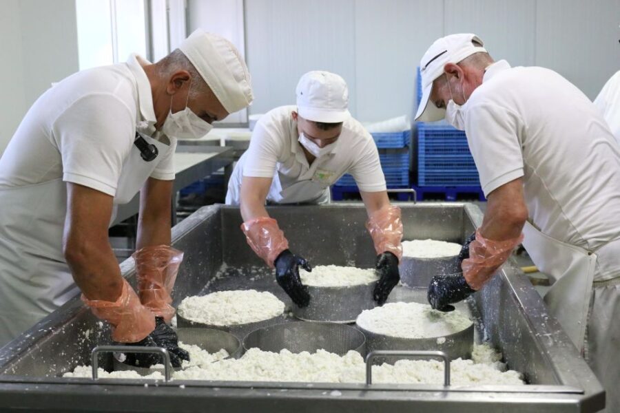Tenerife - Farm Tour with Cheese Tasting - An In-Depth Look at the Farm Tour Experience