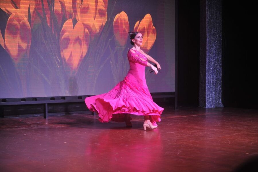 Tenerife: Flamenco Performance at Teatro Coliseo - The Itinerary: What to Expect