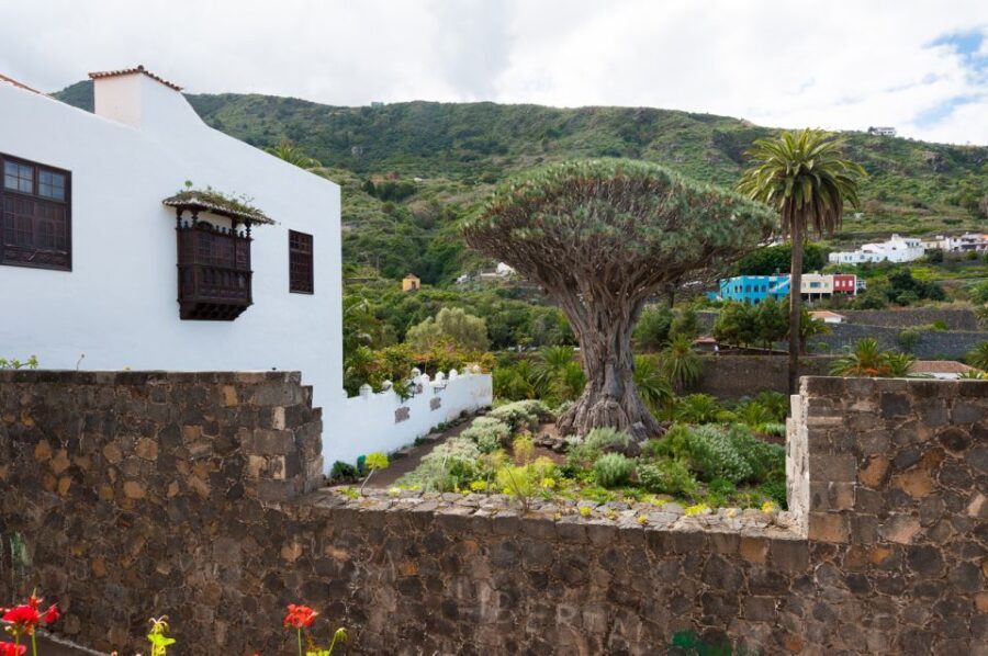 Tenerife: Full-Day Guided Island Tour - The Value of the Tour