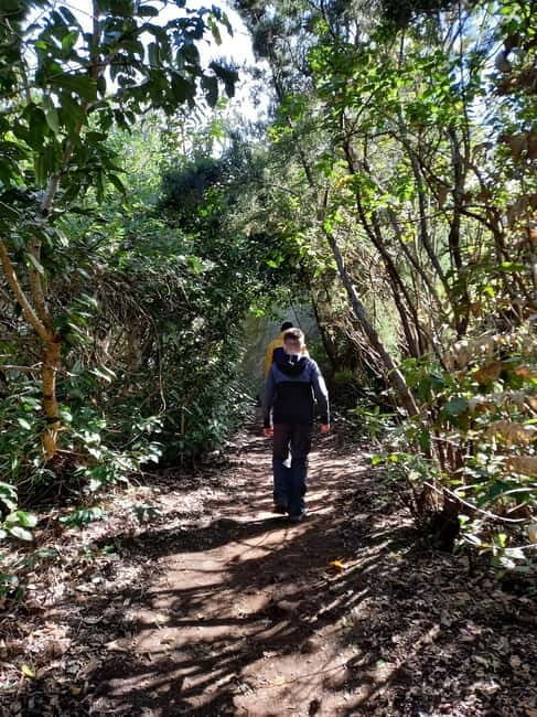 Tenerife: Guided tour guide in the Anaga Rural Park - Why Guides Make All the Difference