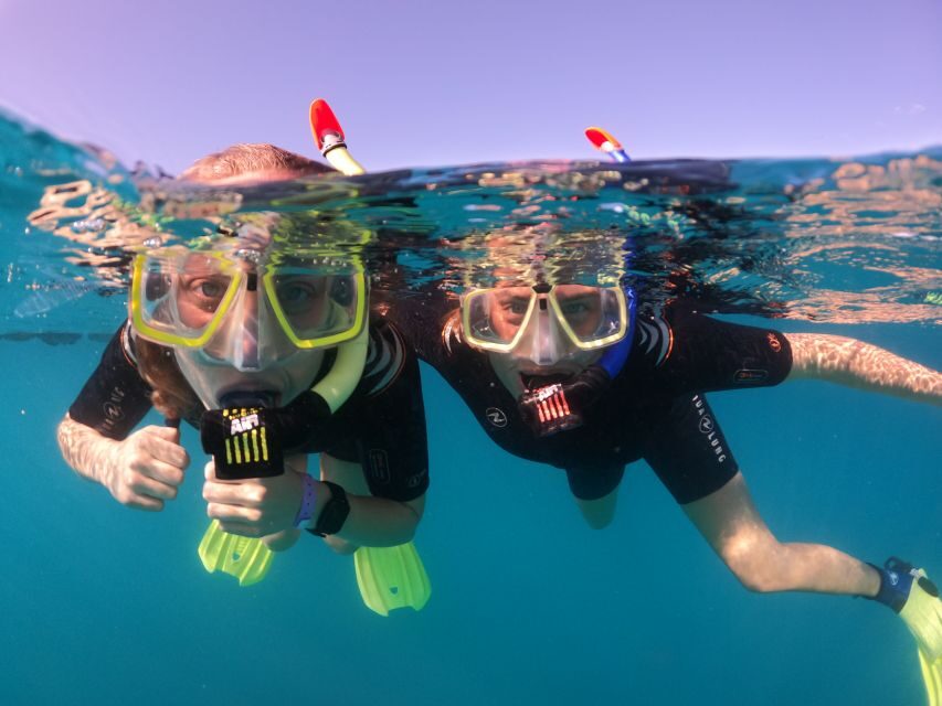 Tenerife: Half-Day Snorkeling Tour - What’s Included & What’s Not
