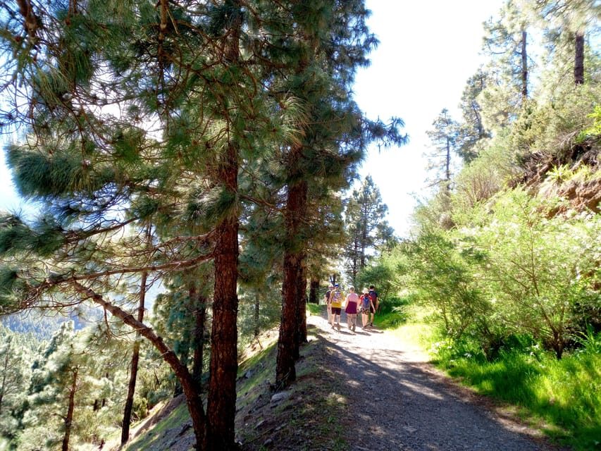 Tenerife: Hiking Above the Village of Masca - Why This Tour Is Worth Your Time