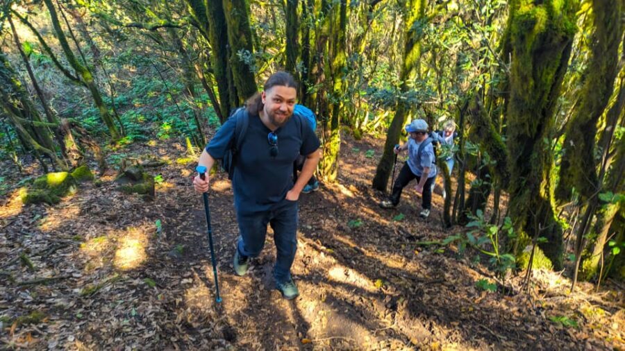 Tenerife: Hiking Tour Above Masca & Enchanted Forest - An In-Depth Look at the Tenerife Hiking Experience