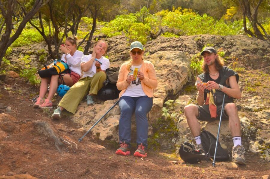 Tenerife: Hiking Tour in Anaga Mountains & Enchanted Forest - What Makes This Tour Special?