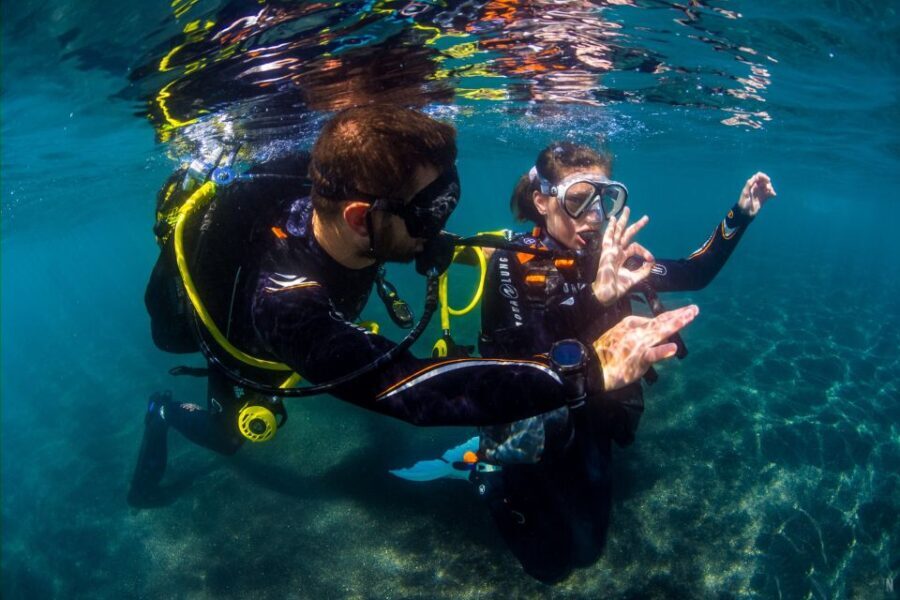 Tenerife: Introductory Dive for Cruise Ship Passengers - What Makes This Tour Stand Out