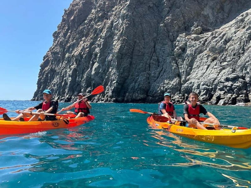Tenerife: Kayak and Snorkeling Tour with Marine Life - The Value of This Tour