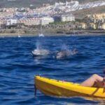 Tenerife: Kayak Safari and Sea Turtle Snorkeling with Photos - The Practicalities: What You Need to Know
