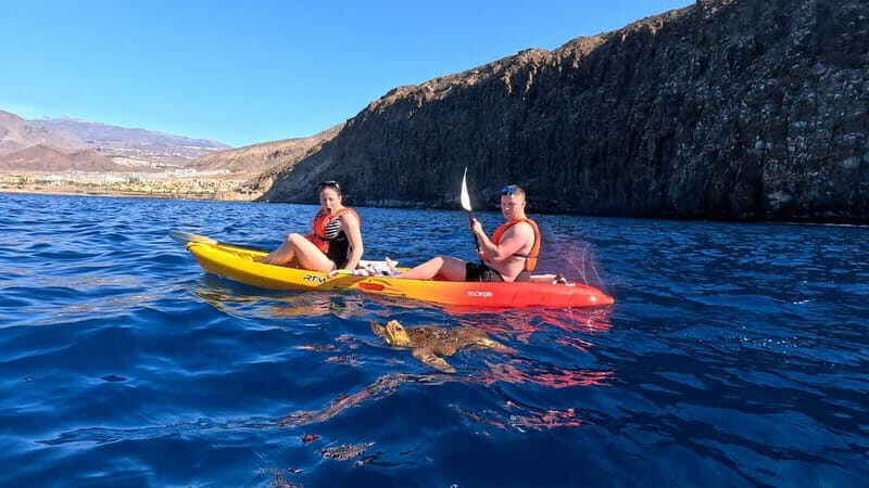Tenerife: Kayak & Snorkeling Tour - Small Groups - Why This Tour Appeals to Travelers