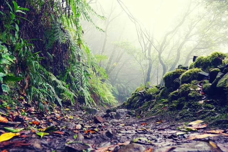 Tenerife: La Laguna & Anaga hike - The Value and Practical Considerations