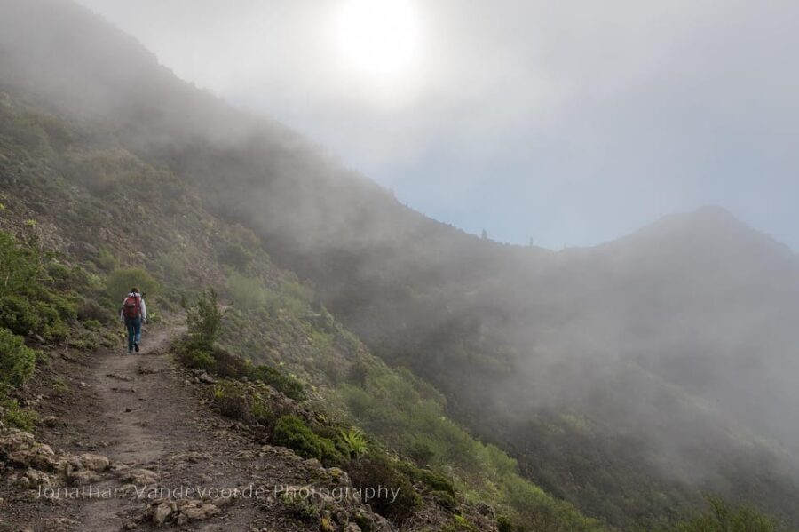 Tenerife: Masca Skyline Hike - Hiking through Teno and the hamlet of Masca - The Value of Guided Nature Experiences