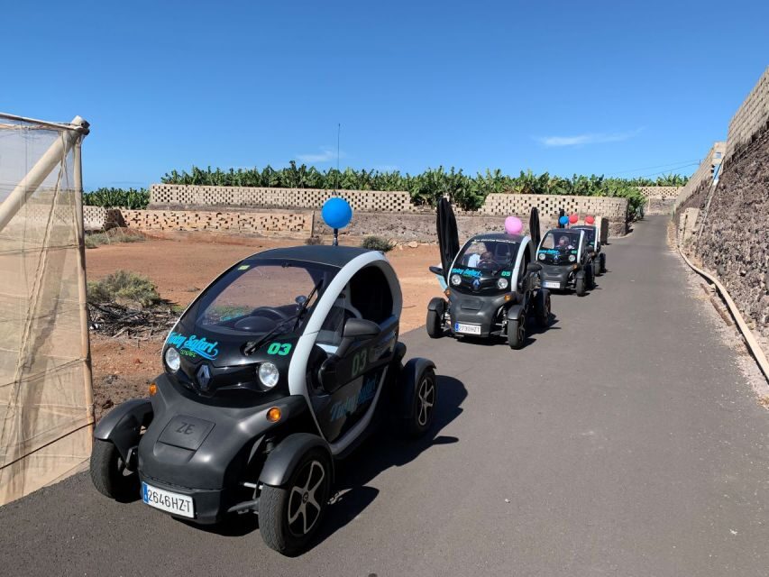 Tenerife: Private Renault Twizy Tour - Who Should Book This Tour?