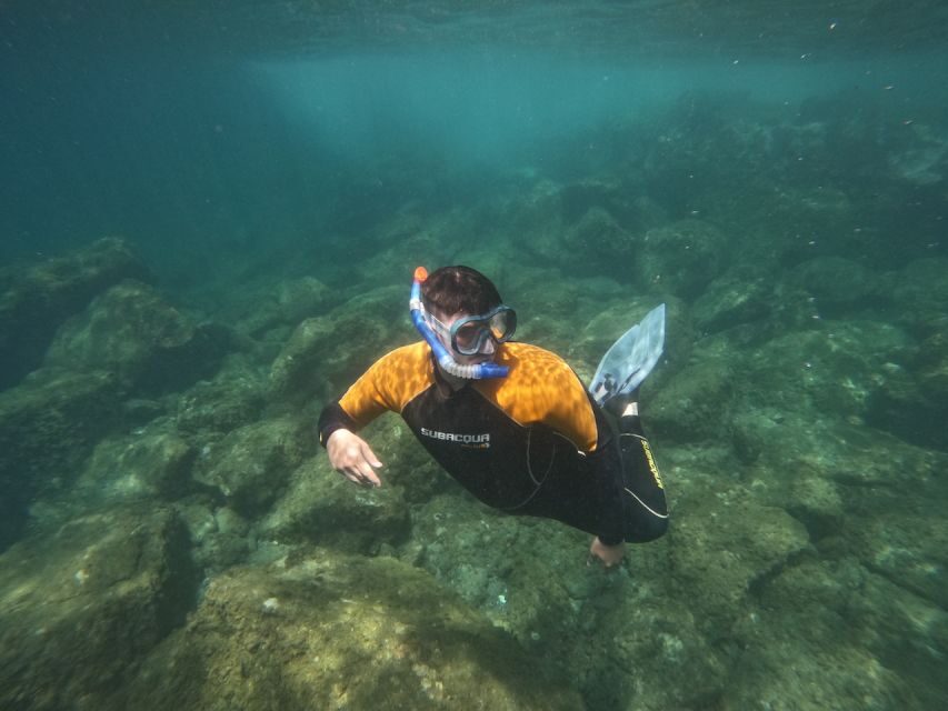 Tenerife: Puerto Colon Snorkel Safari by Speed Boat - What Travelers Say
