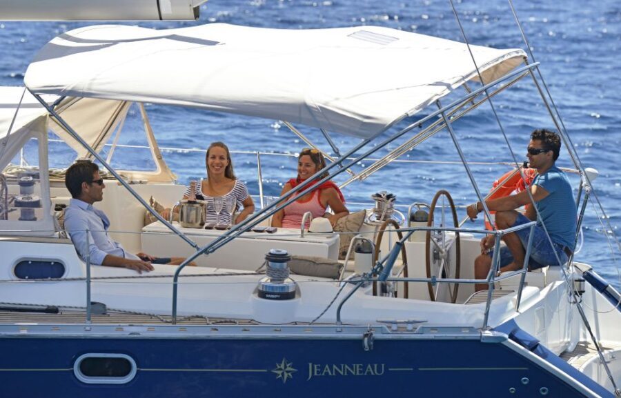Tenerife: Sailing Excursion with Whale and Dolphin Watching - Wildlife Watching: What You Can Expect