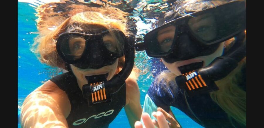 Tenerife: Snorkeling Tour in a Marine Protected Area - What You Can Expect from the Tour