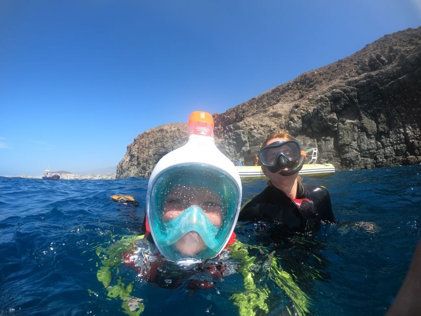 Tenerife: Snorkeling Trip in a Turtle Habitat - What to Expect on the Day