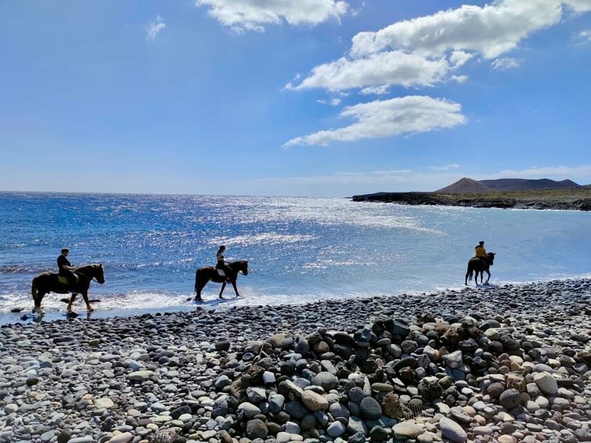 Tenerife South: Private Horseback Riding to the Coast - Why We Think This Tour Offers Value
