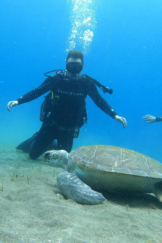 Tenerife south: Scuba Dive for beginners in Adeje - Who Should Consider This Tour?