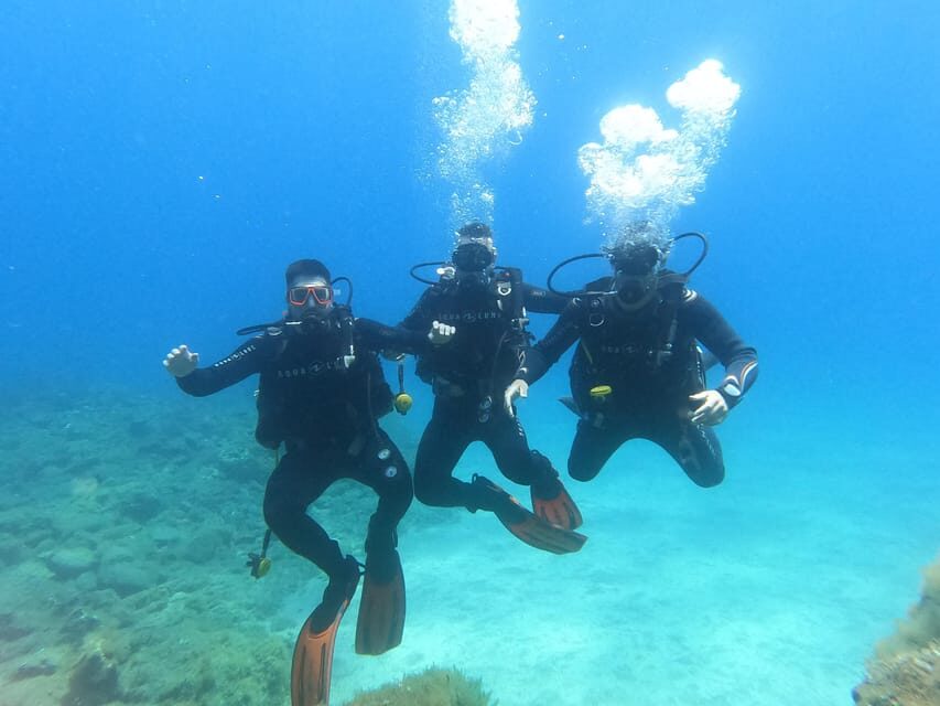 Tenerife sur: Buceo para principiantes en Adeje - What You Can Expect From This Tour