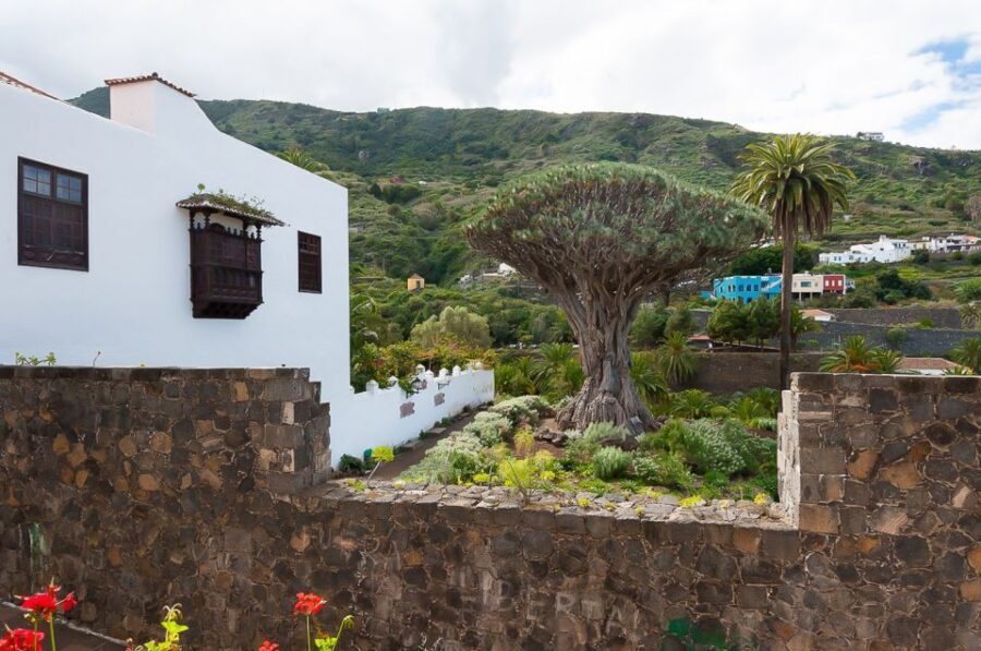 Tenerife: Teide National Park Full-Day Tour with Pickup - What Makes This Tour Stand Out?