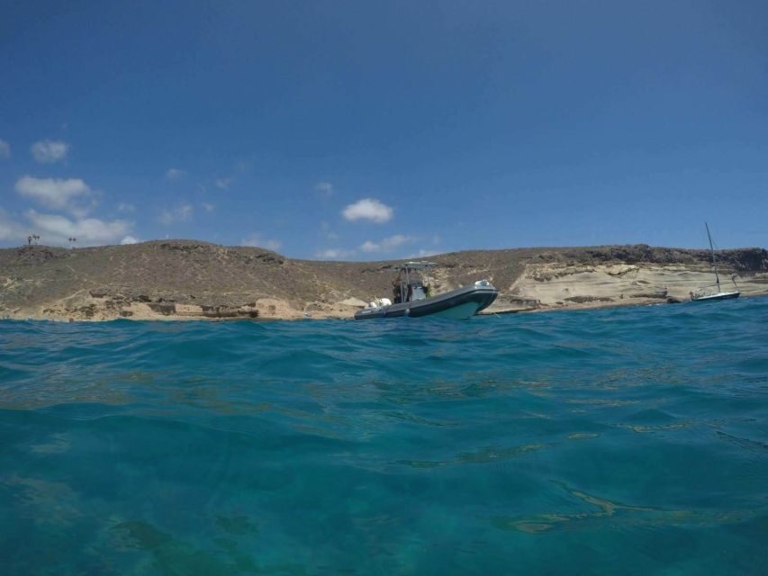 Tenerife: Underwater Lava Tongues Snorkel Excursion - How the Itinerary Unfolds