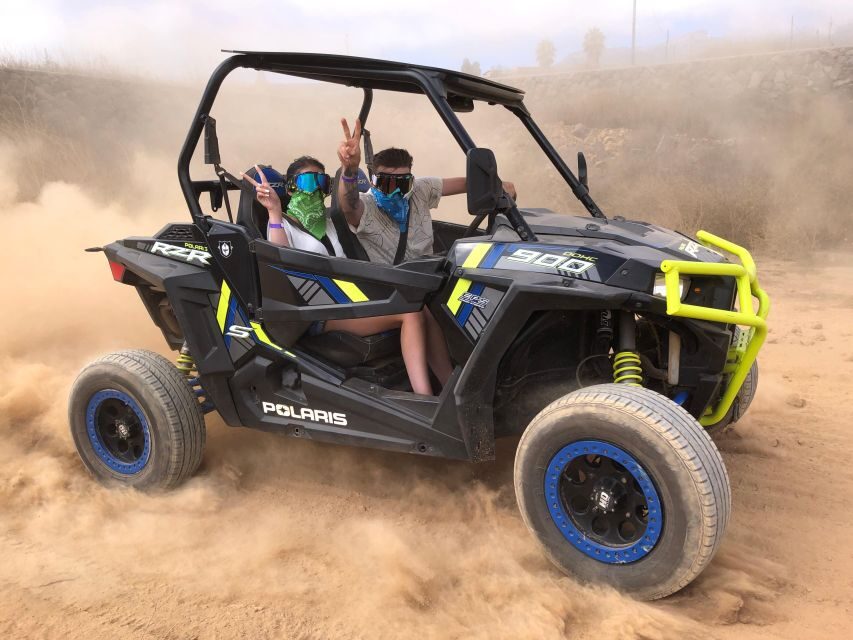 Tenerife: Volcano Teide Buggy Tour with Wine Tasting & Tapas - Who Should Consider This Tour?