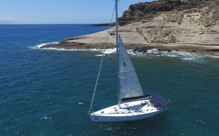 Tenerife: Whale and Dolphin Watching Tour by Sailboat - An Authentic Marine Adventure