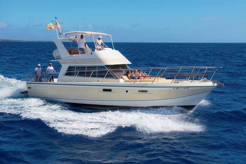 Tenerife: Whale watching tour with swim and lunch on yacht for 22 passengers - An Honest Look at the Experience
