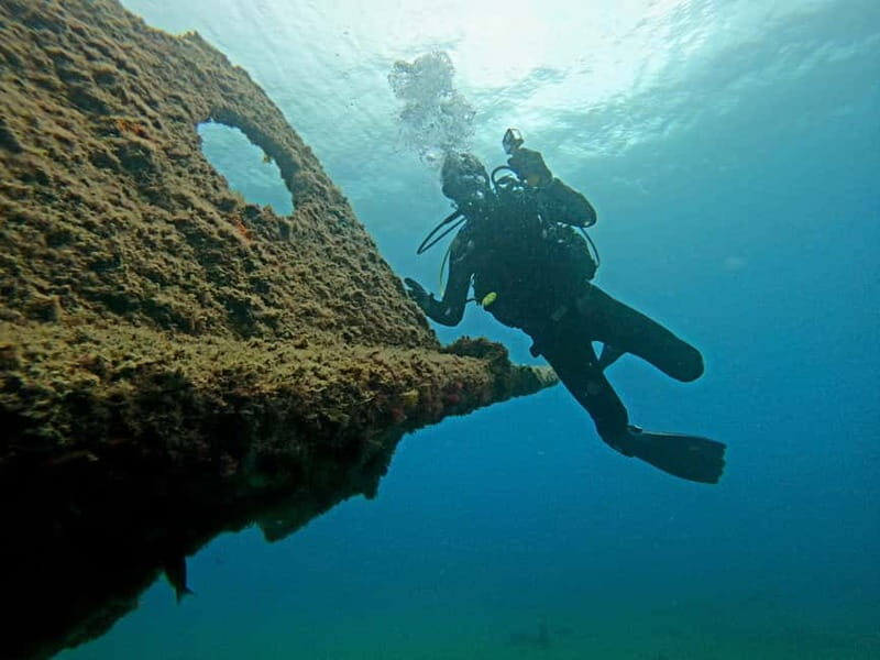 Terceira Azores: Scuba-Double dive Trip(certified Divers) - What You Can Expect from the Trip