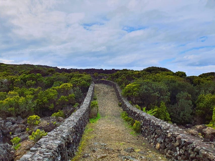 Terceira Island: Baías da Agualva Hike + Picnic + Biscoitos - Whats Included and Practical Details