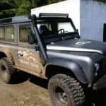 Terceira Island: Full-Day Mud Adventure & Traditional Lunch - Why This Tour Delivers Value